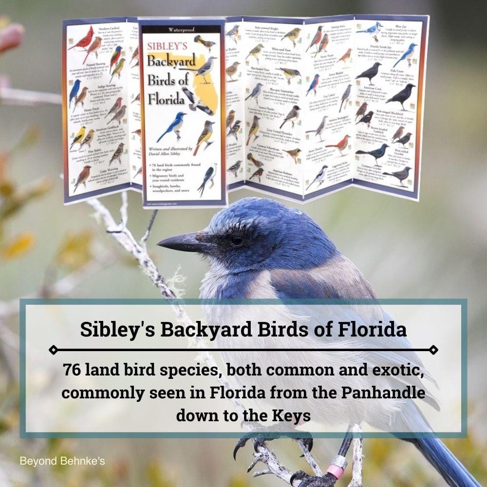 Back Yard Birds of Florida Guide