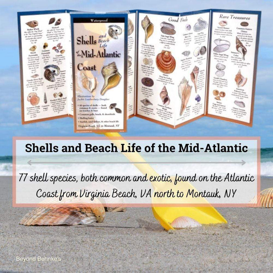 Nature Reference Folding Guides BUY 3 SAVE 20% Mix & Match – Beyond ...