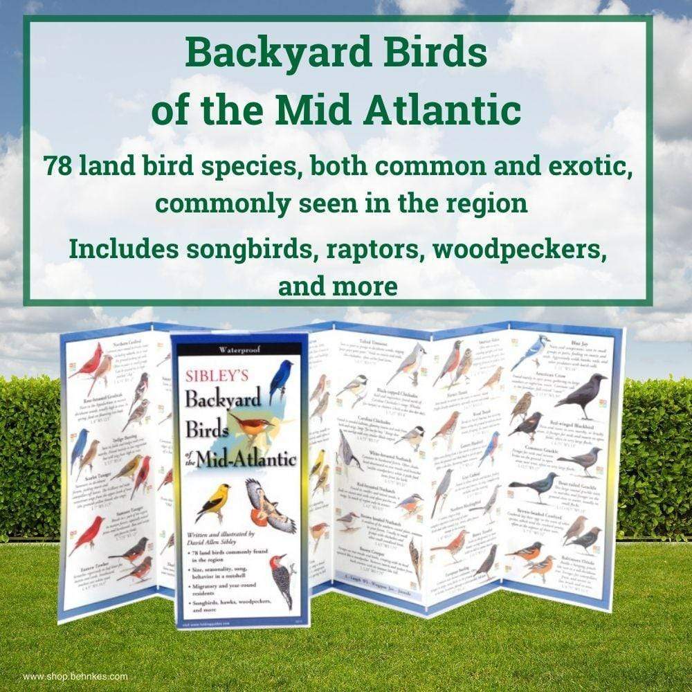 Nature Reference Folding Guides BUY 3 SAVE 20% Mix & Match – Beyond ...